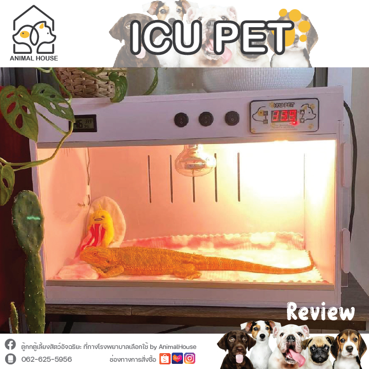Icu Box - ICU PETS CARE